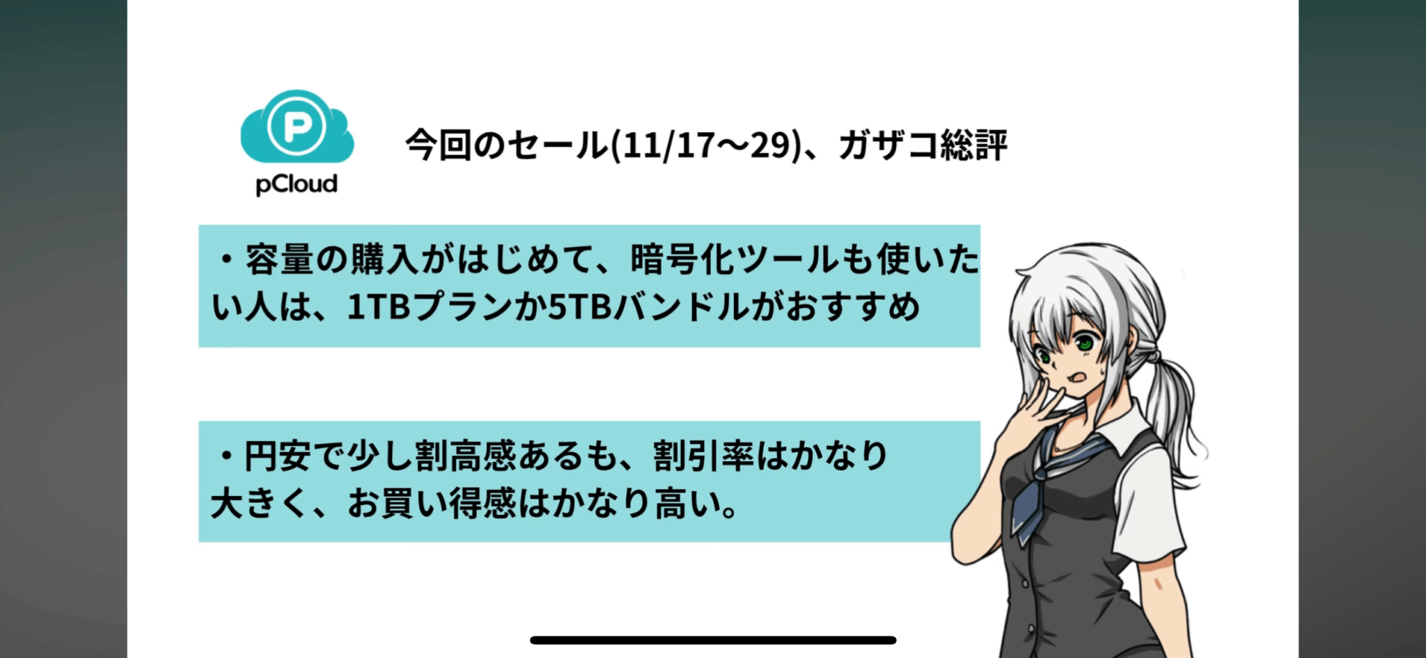 pCloud ブラックフライデー2025開催！最大60％オフの買い切りセールを徹底解説【今年最大のチャンス】